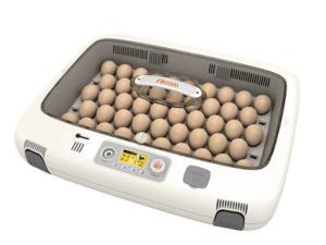Couveuse RCOM 50 DO PRO